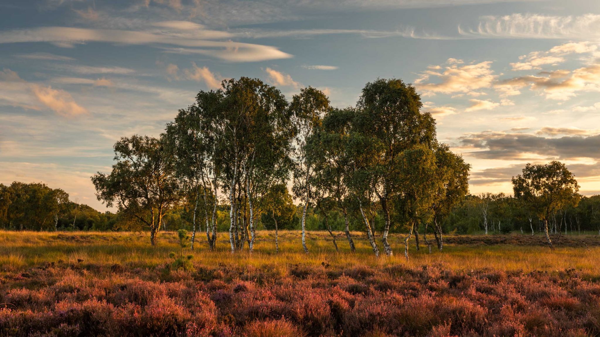 Tutorials – First Man Photography