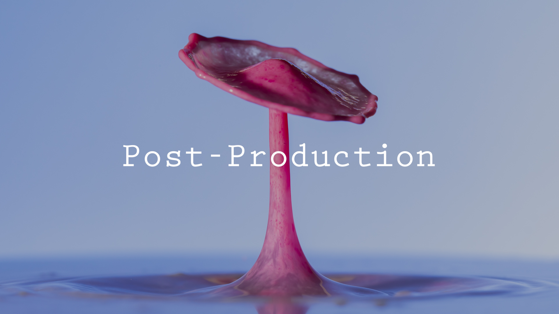 Water Drop Photography Masterclass - First Man Photography