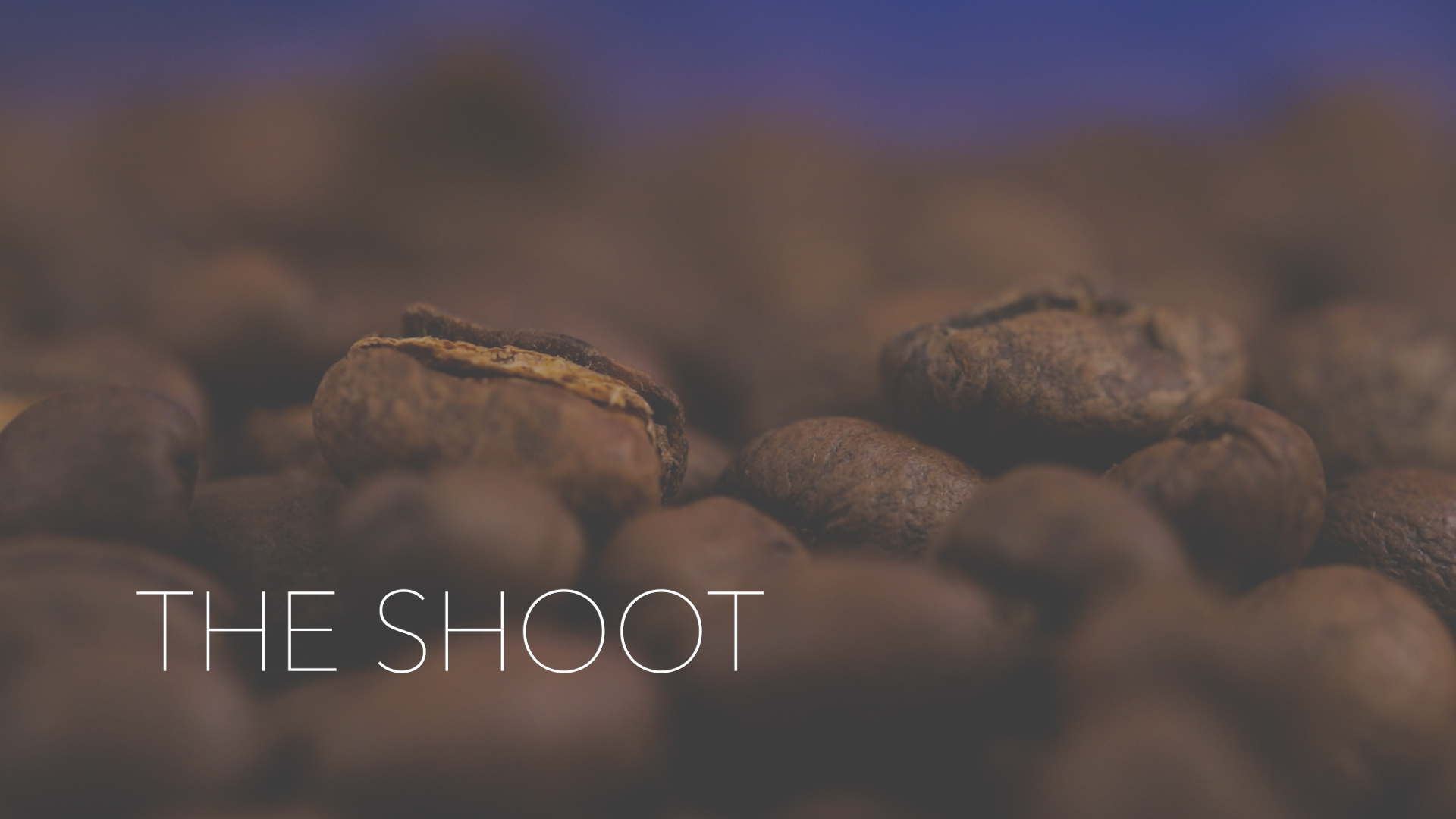 The Shoot - First Man Photography