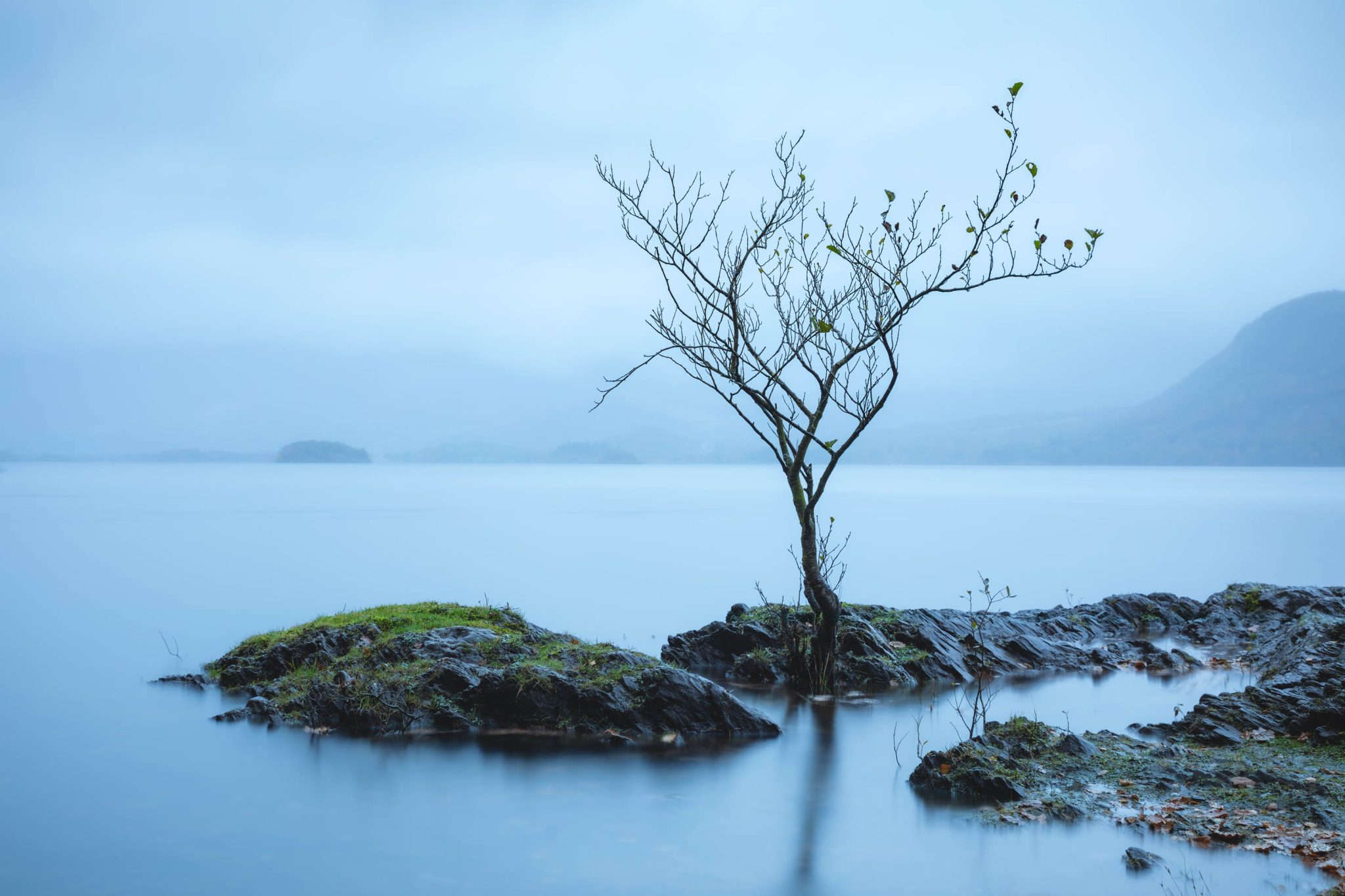 Gallery - First Man Photography